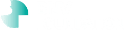 BNV Foundation